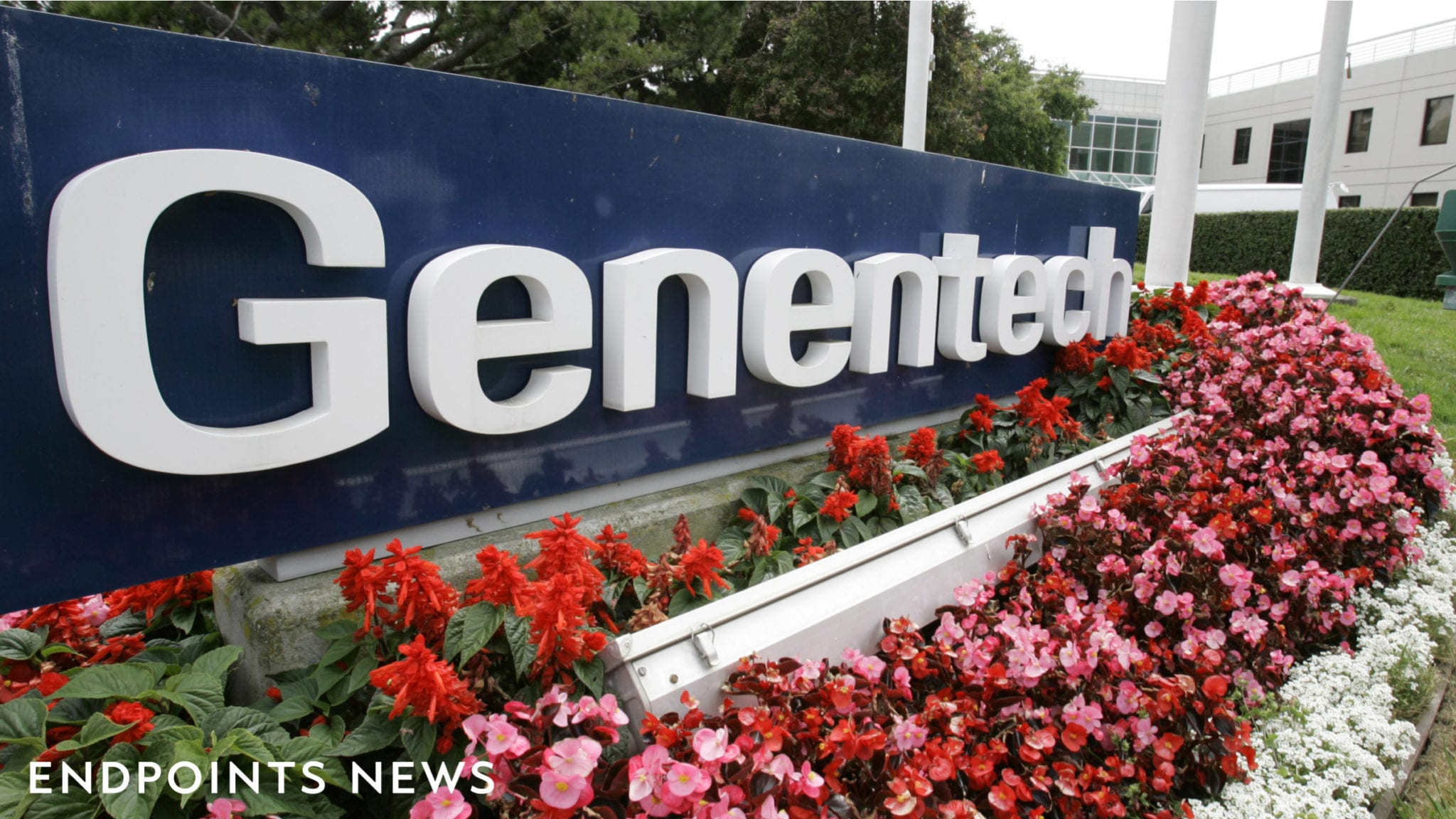 Genentech Lines Up A New Autoimmune Randd Alliance On A ‘potentially Transformative Tech
